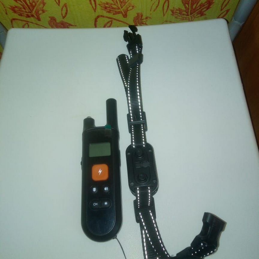 Ошейник для собак