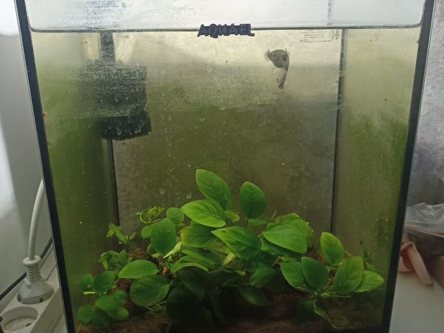 Аквариум aquael