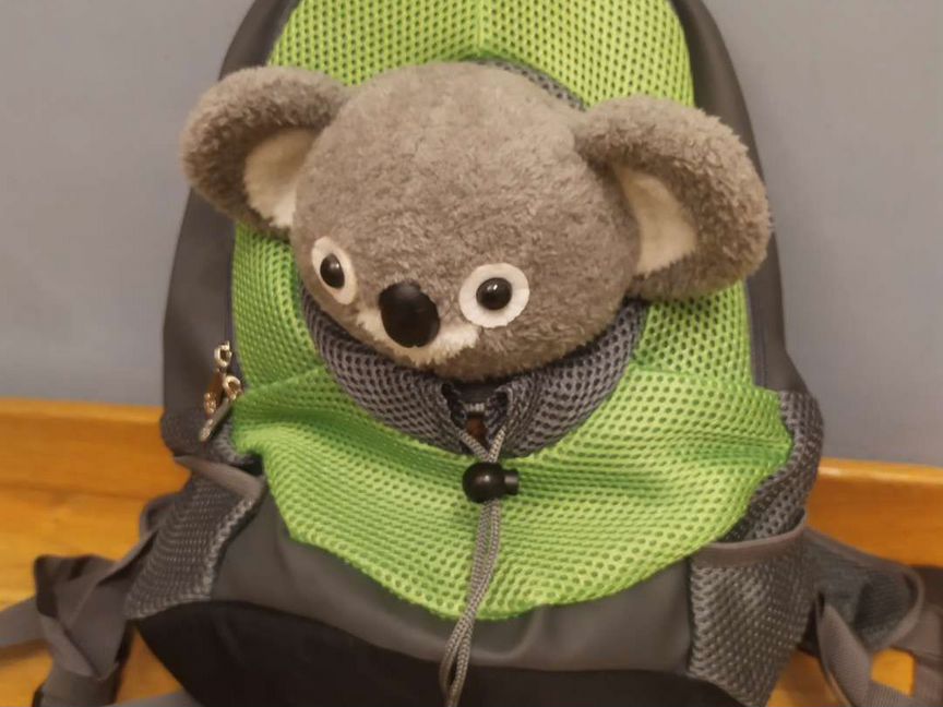 Рюкзак переноска