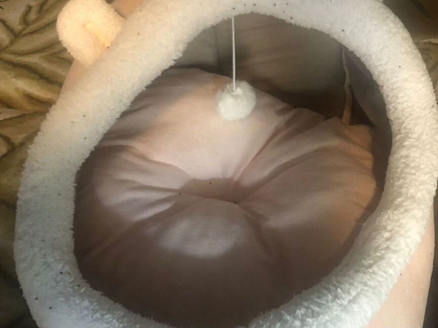 Домик для кошек