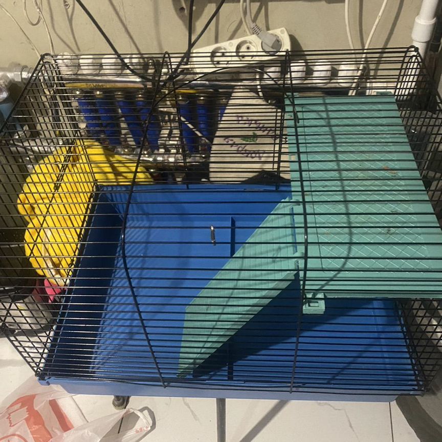 Клетка для грызунов бу