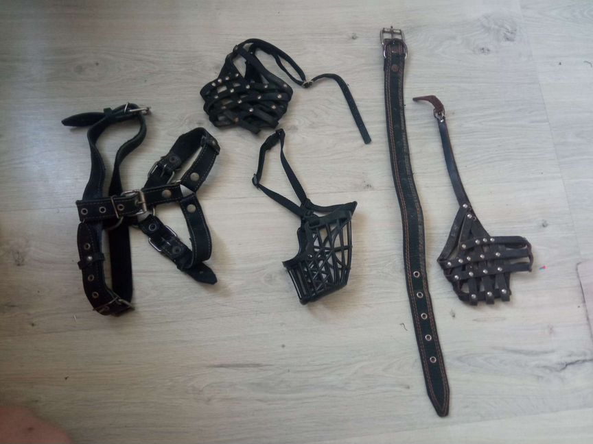 Шлейка, ошейник, намордники