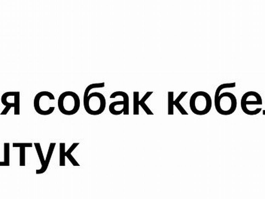 Подгузники для животных