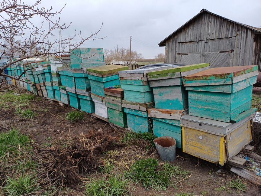 Улей для пчел бу