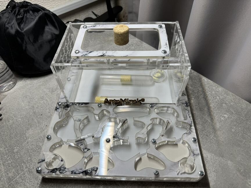 Муравьиная ферма