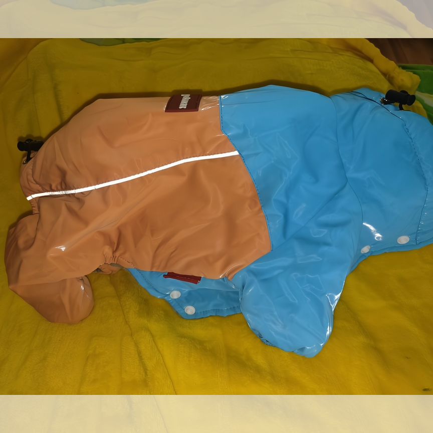 Одежда для маленьких собак зима