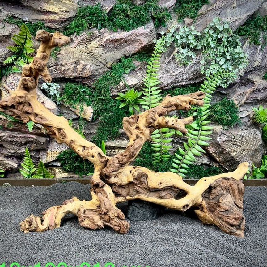 Коралловое дерево/Coral Wood кд695