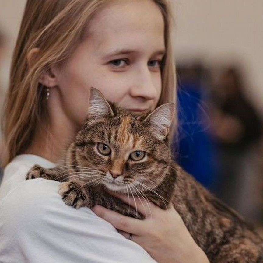 Её не заметили даже на выставке для бездомных