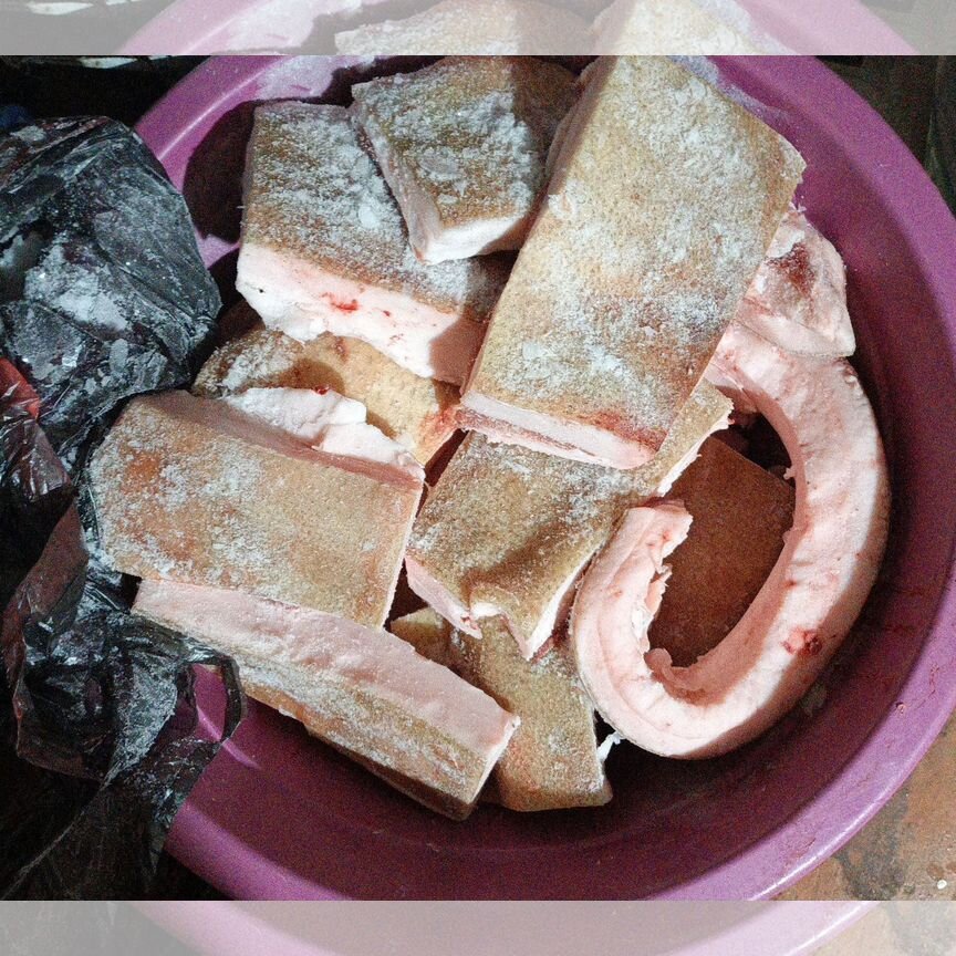 Сало свежее продать