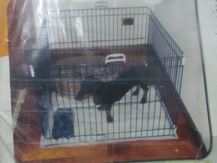 Вольер для щенков