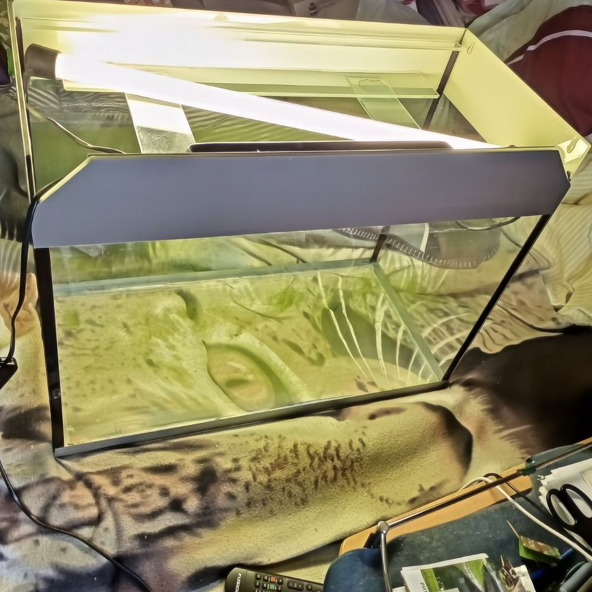 Аквариум 72л, с подсветкой