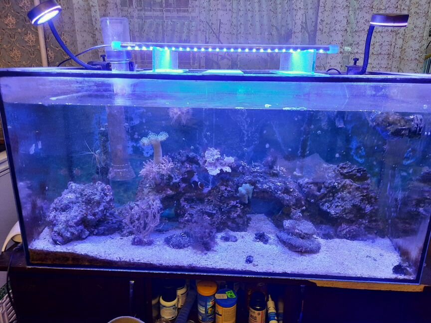 Морской аквариум