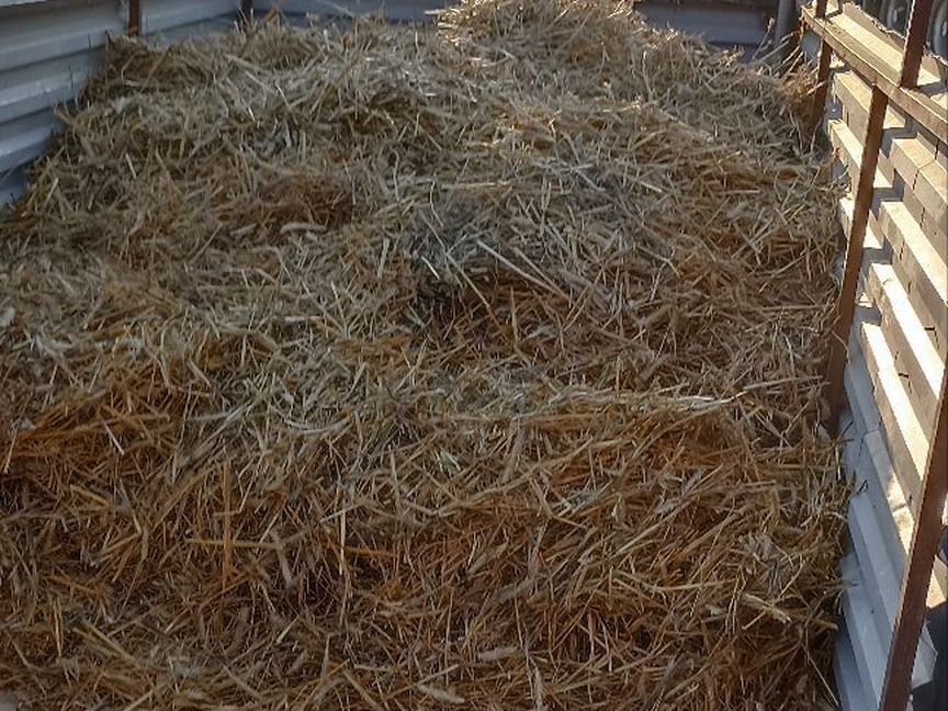 Сено солома
