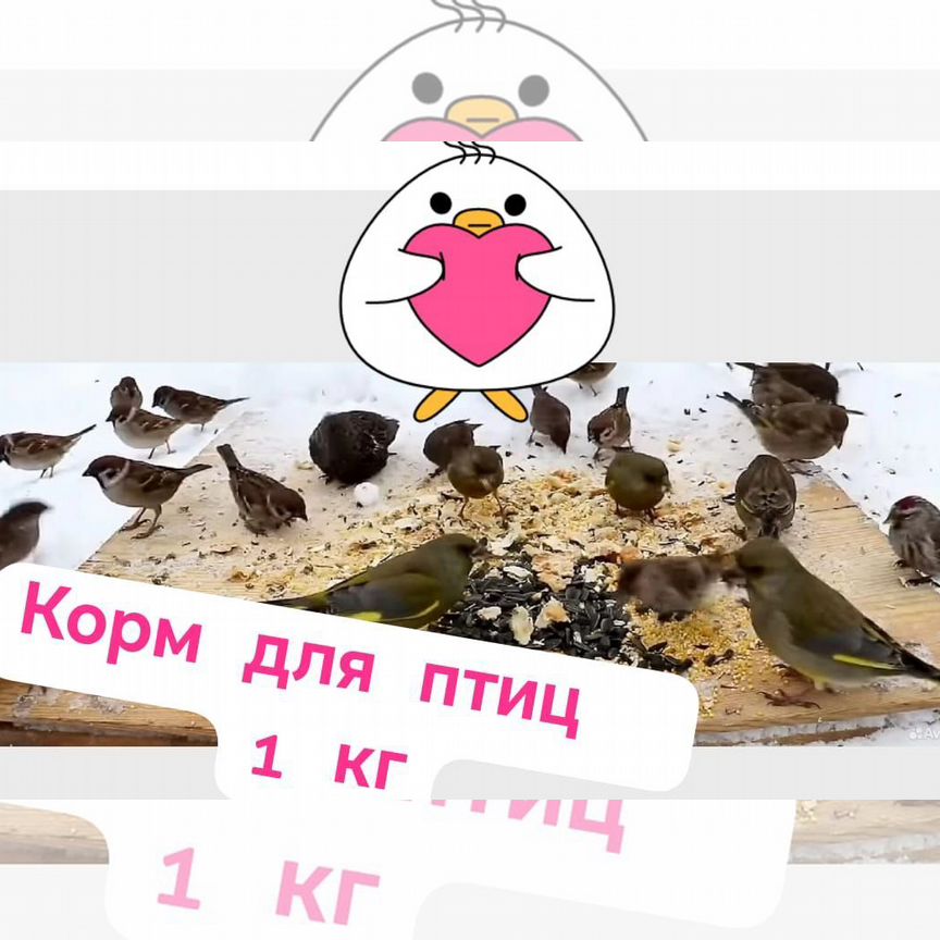 Корм с полей для лесных птиц 1кг