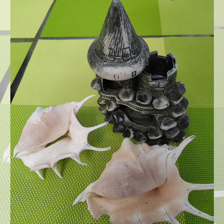 Для аквариума