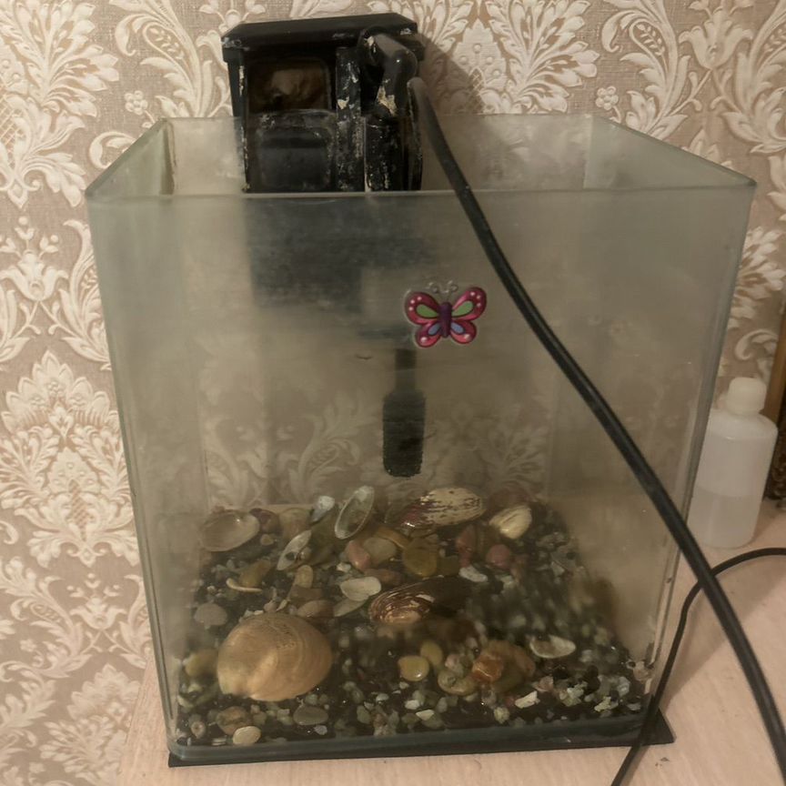 Аквариумные рыбки