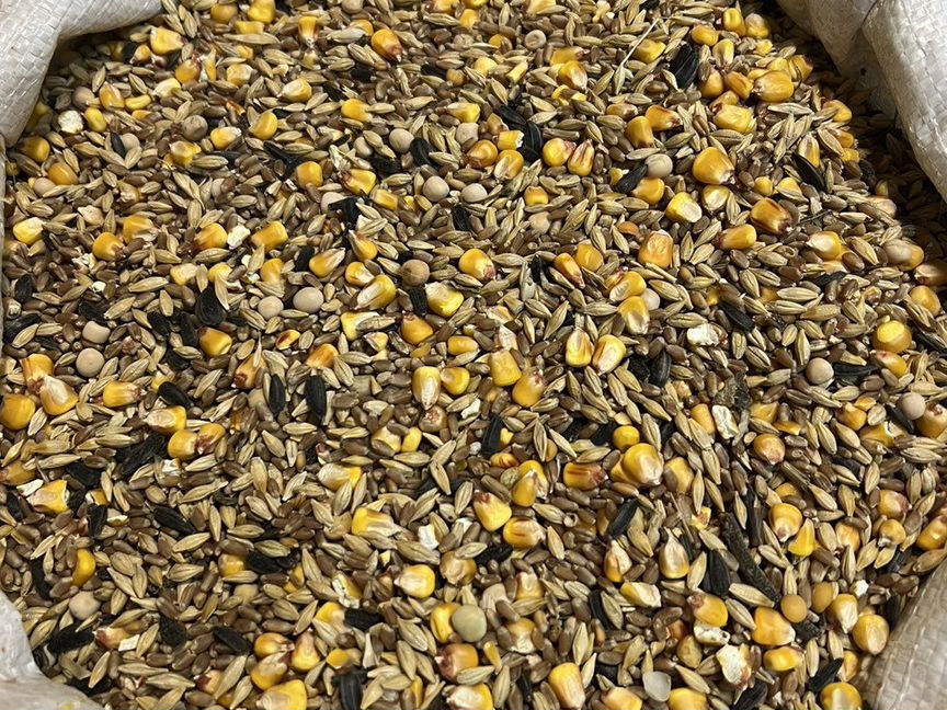 Зерносмесь