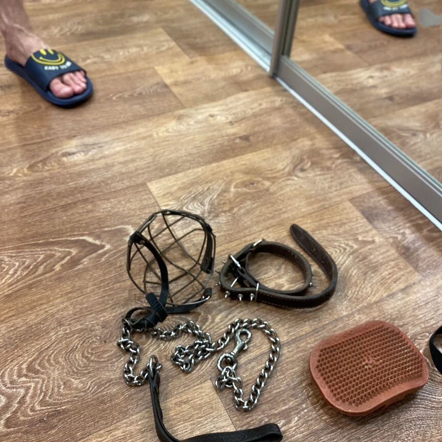 Для крупной собаки обмундирование