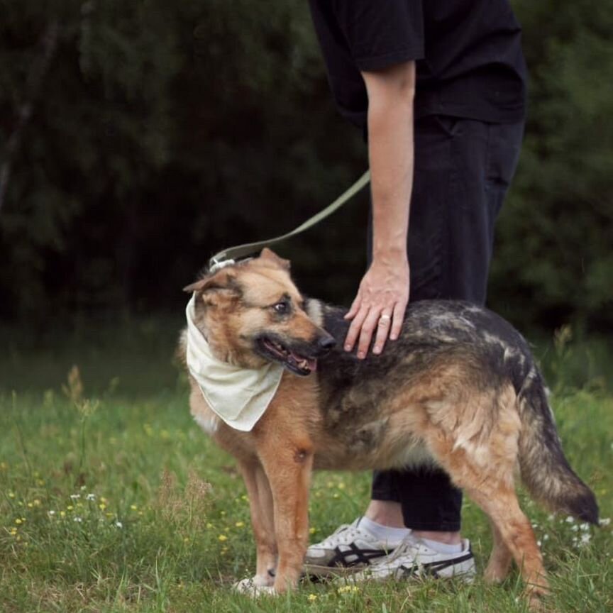 Приезжай ко мне, я буду очень хорошо себя вести