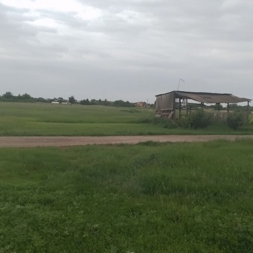 Сено луговое в тюках