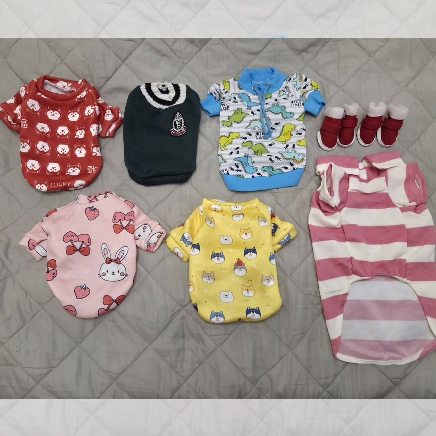 Новая одежда для животных