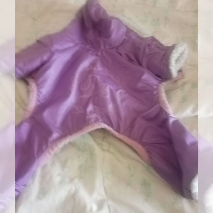 Одежда для собак