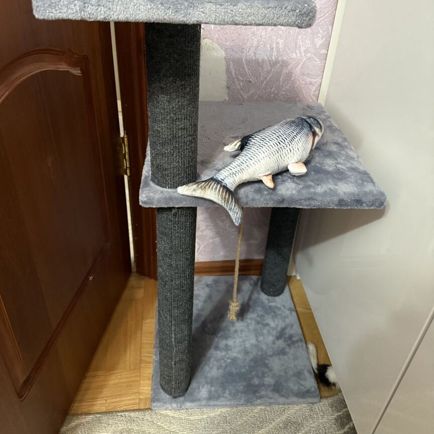 Когтеточка