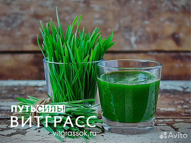Витграсс - сок из ростков Пшеницы купить в Курске | Товары для дома и ...