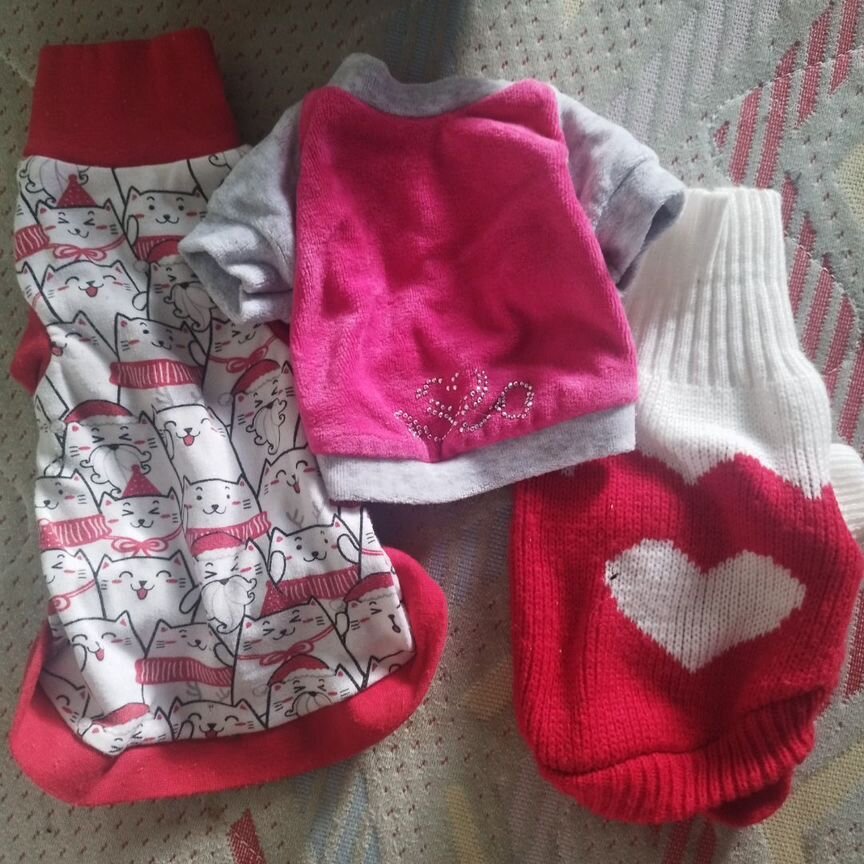 Одежда на кошку