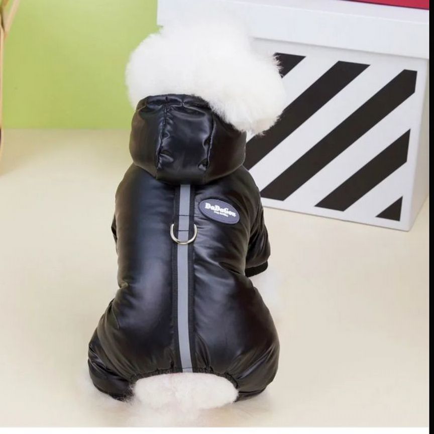 Одежда для собак