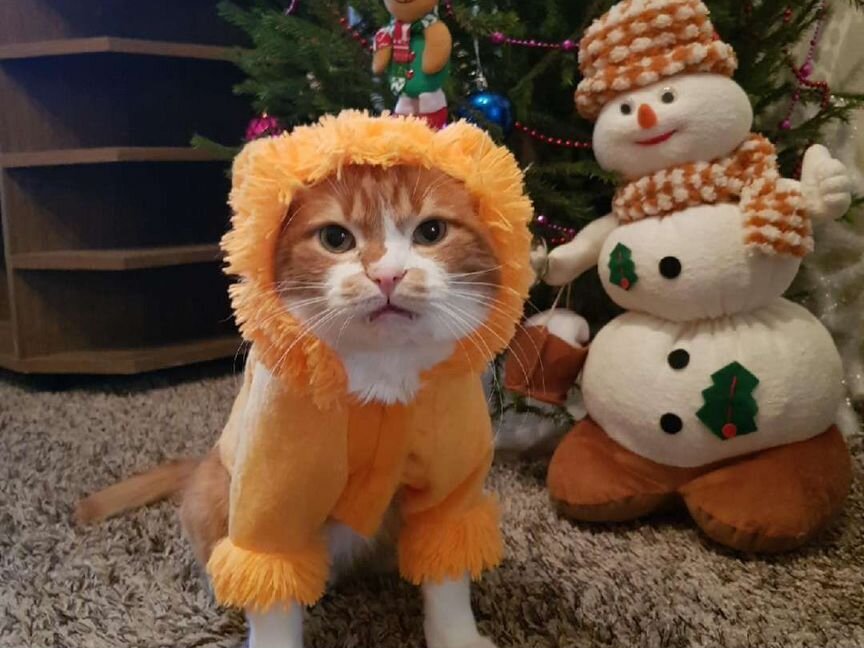 Костюм львёнка
