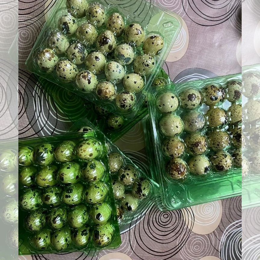 Яйца перепелиные