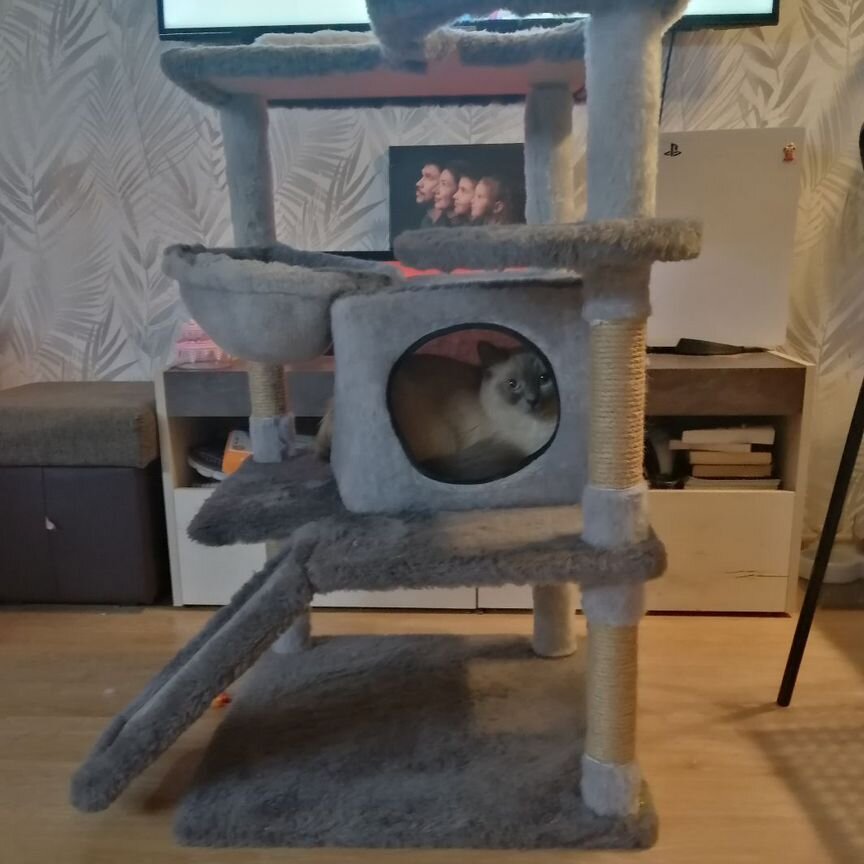 Игровой комплекс для кошек