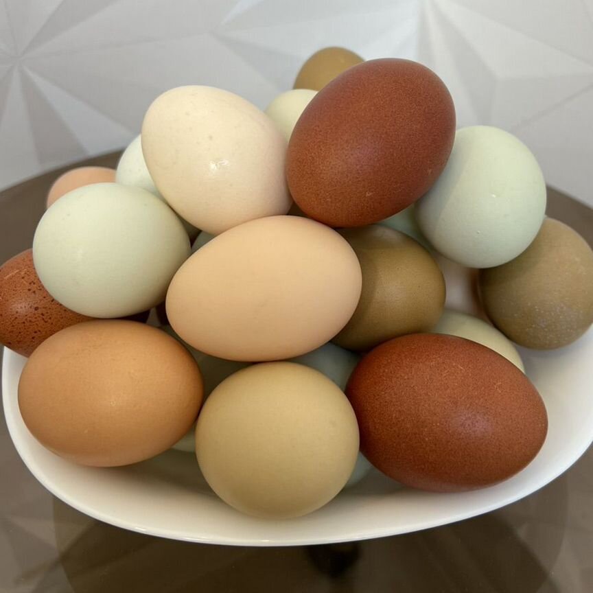 Яйца на инкубацию куриные