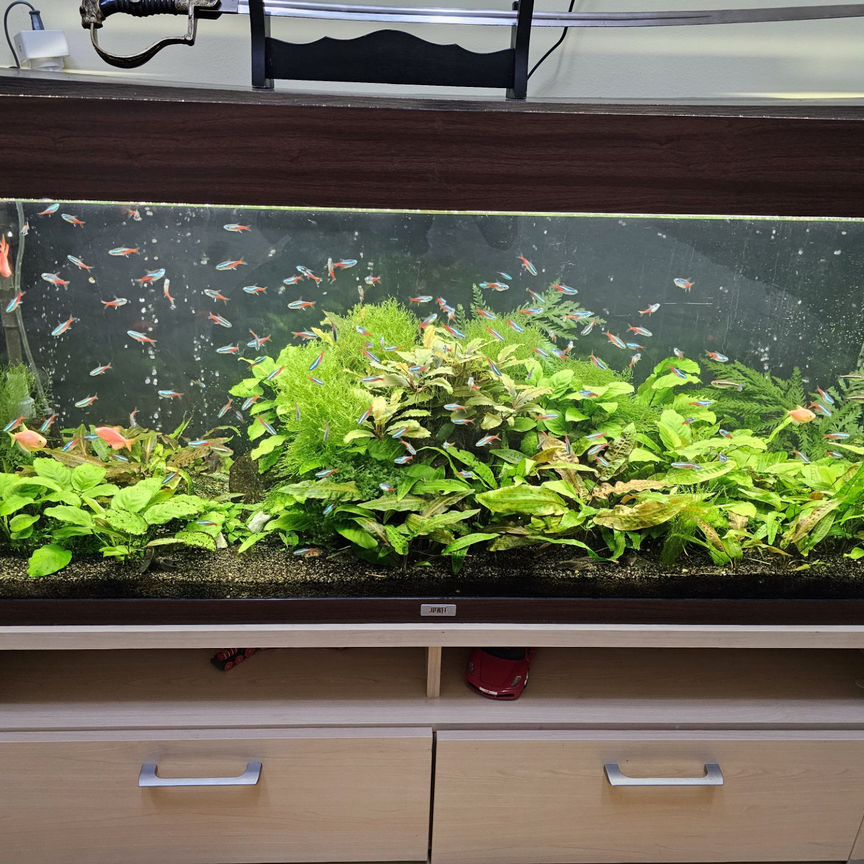 Аквариум с тумбой Juwel