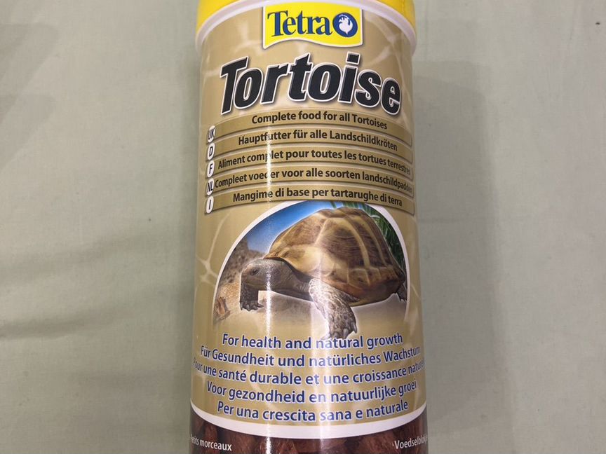 Tortoise