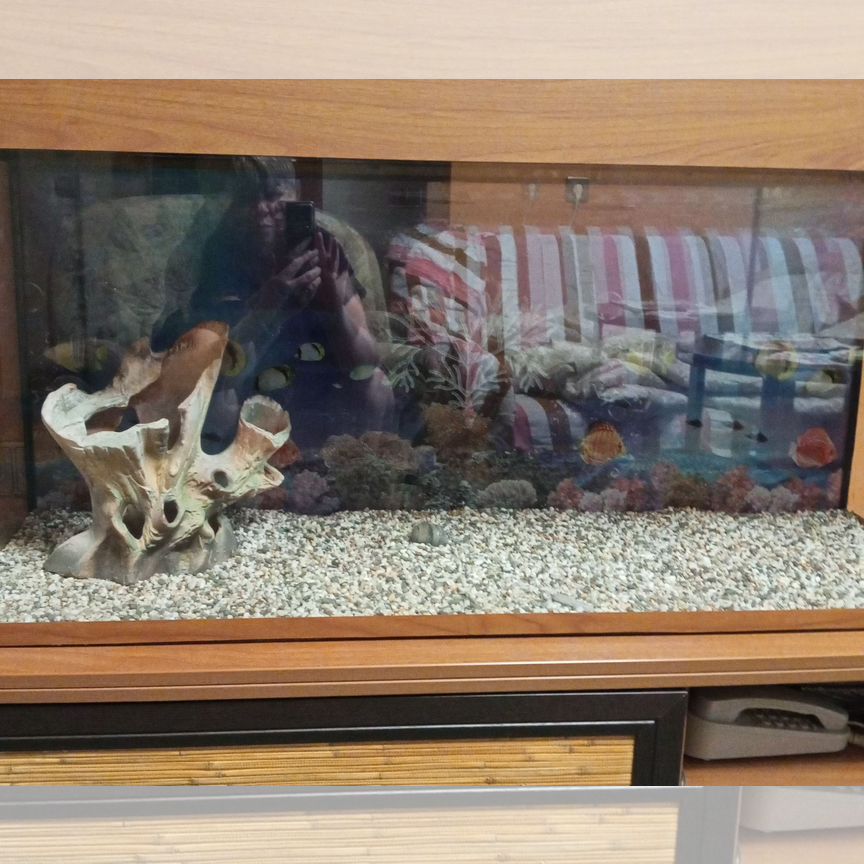 Аквариум без тумбы (обмен)