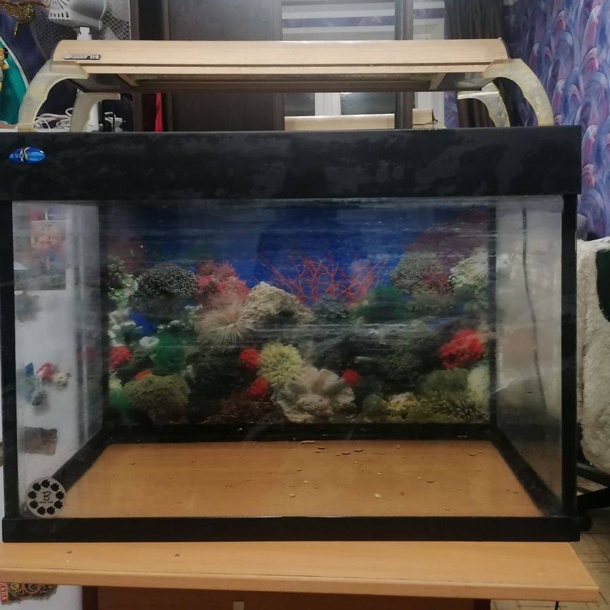 Аквариум больше 126 л