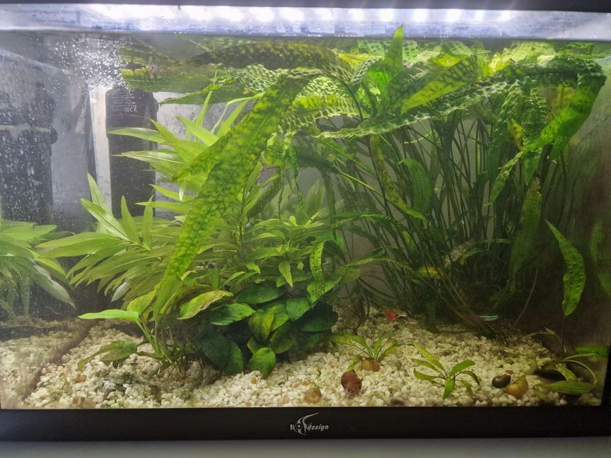 Аквариум 60 л, полный комплект