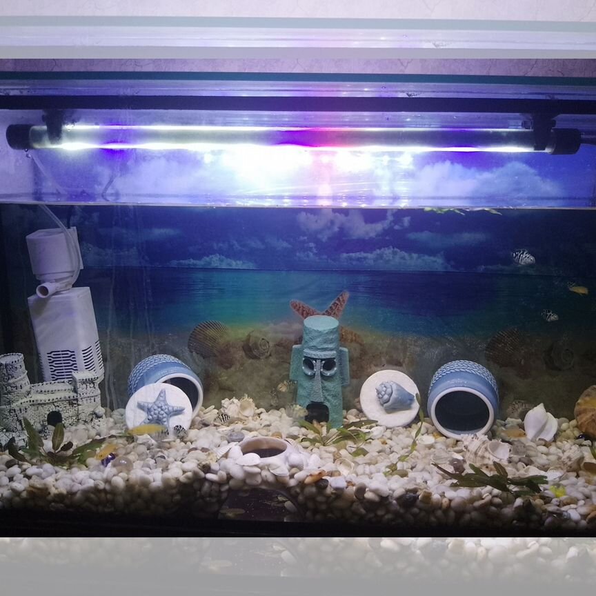 Аквариум 100л с тумбой