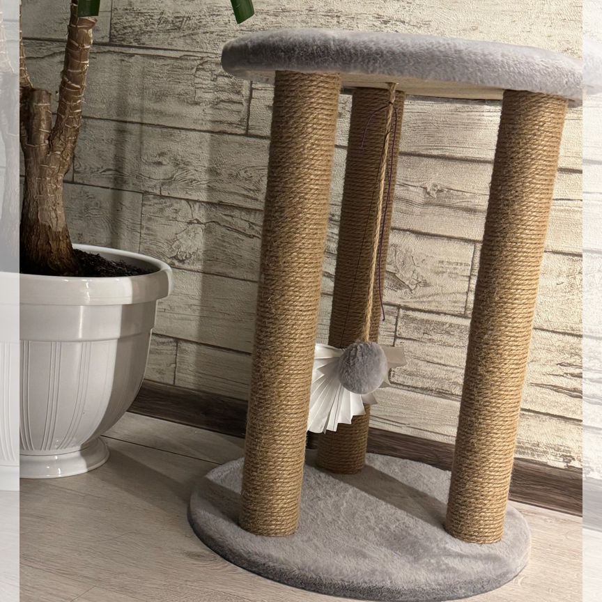 Когтеточка