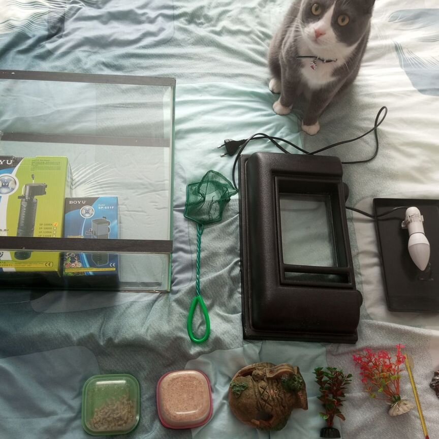 Аквариум с фильтром и светом