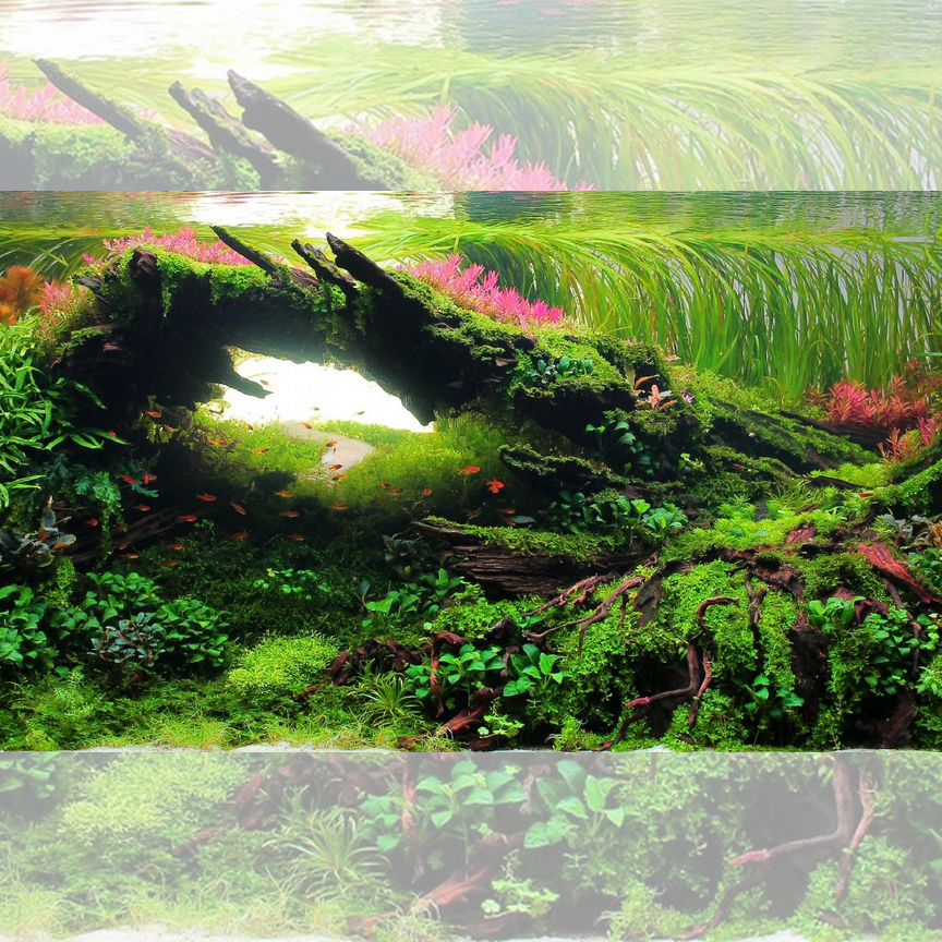 Оформление аквариумов,коряги,растения