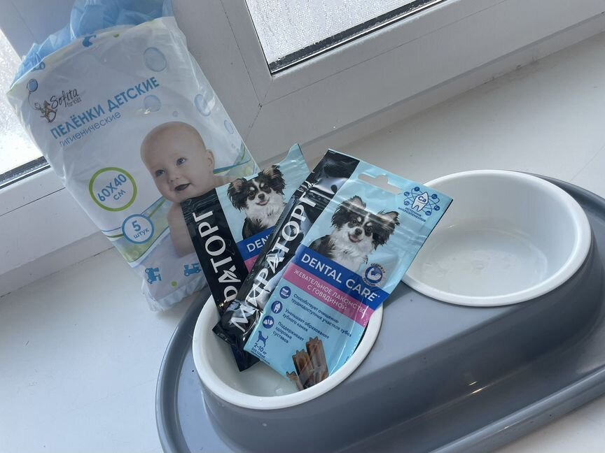 Вещи для маленьких собак. Бесплатно