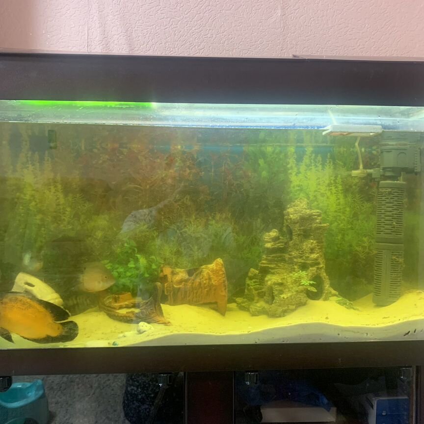 Аквариум с рыбками
