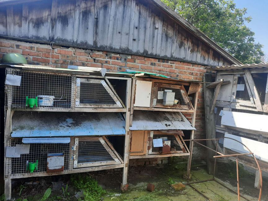 Клетки для кроликов бу