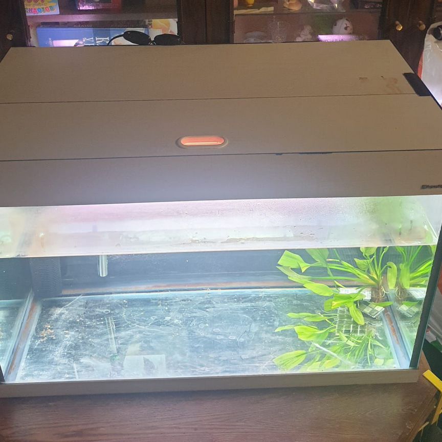 Аквариум/террариум с тумбой
