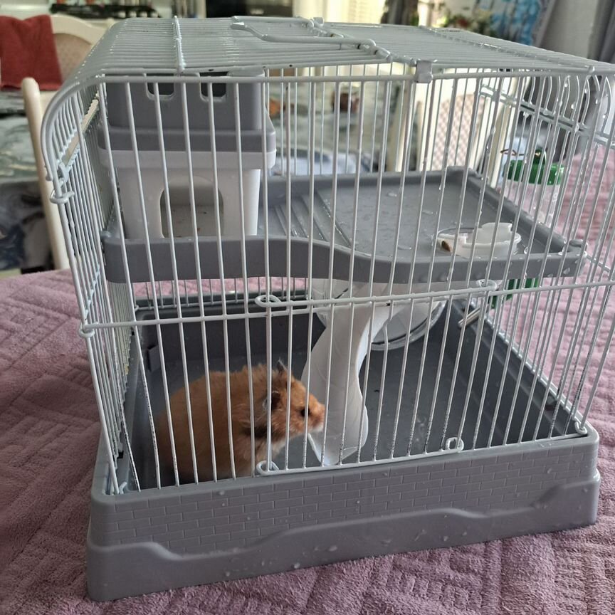 Клетка для хомяка