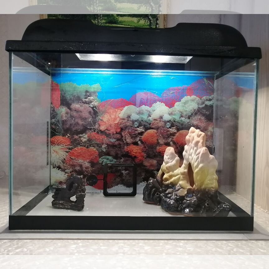 Аквариум и украшения