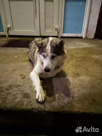 Мать и дочь в беде